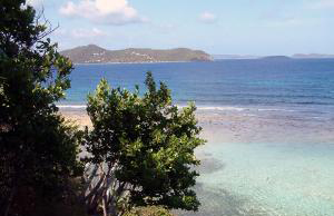 Waterfront Lot With Great Snorkeling - Islandia | Christie's Intl Real ...